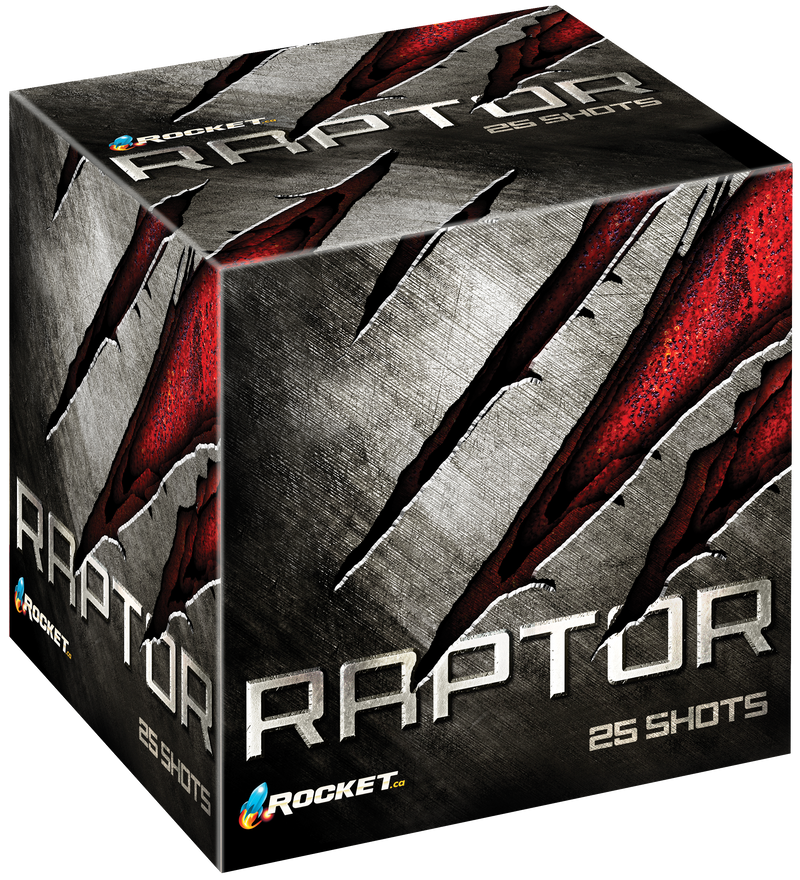Raptor Rocketca