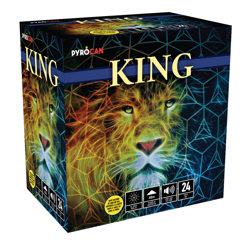 King – Rocket.ca